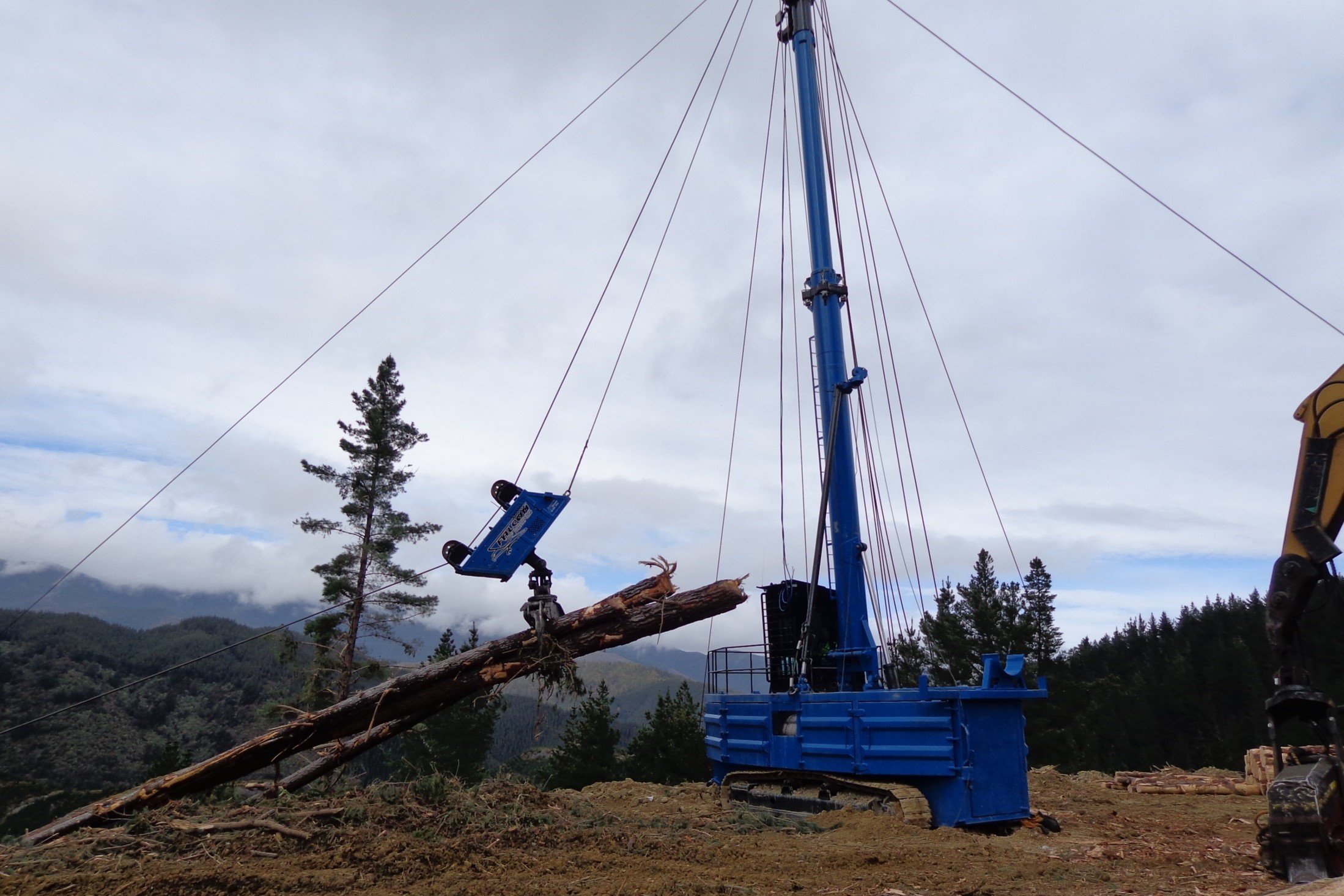 Logging Legends – coming soon