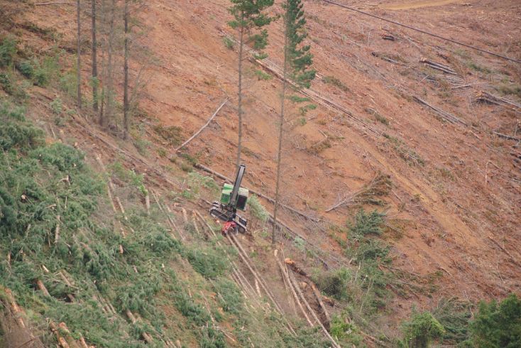 A Complete Guide to Steep-Slope Forestry Winch Assists